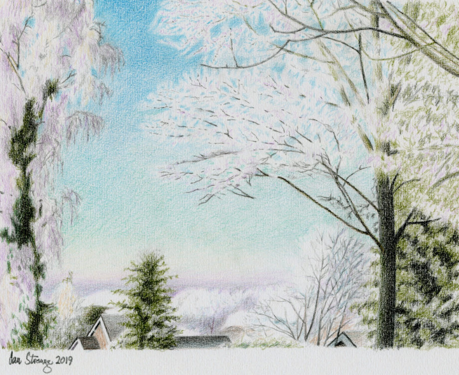 Winter Drawing Scenes